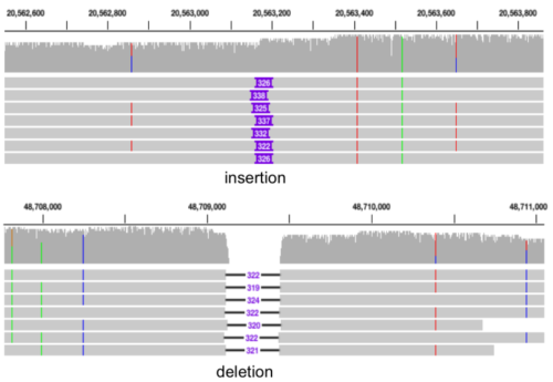 Sv Detection Structural Variation Detection Analysis 1010genome